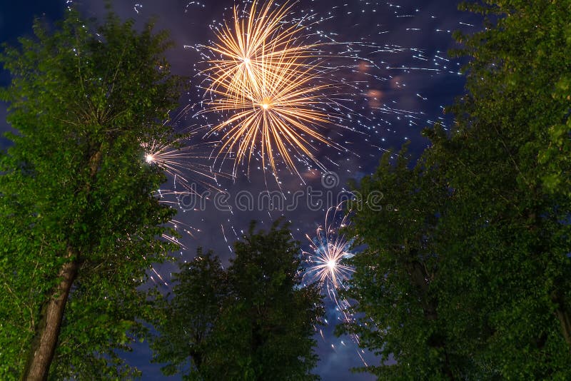 Fireworks Exploding Behind Green Trees Stock Image - Image of colourful ...