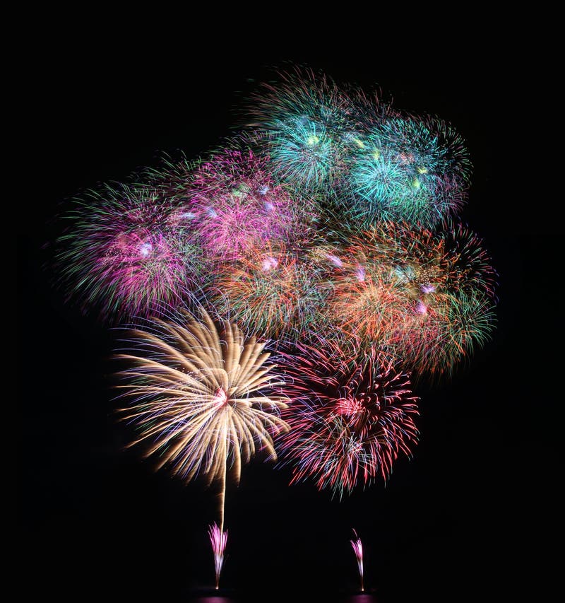 463 Purple Firecracker Photos - Free & Royalty-Free Stock Photos from ...