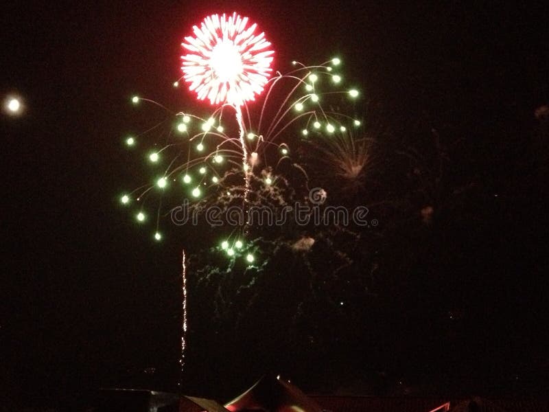 Fireworks - Red Flower stock photo. Image of darkness, show - 940786