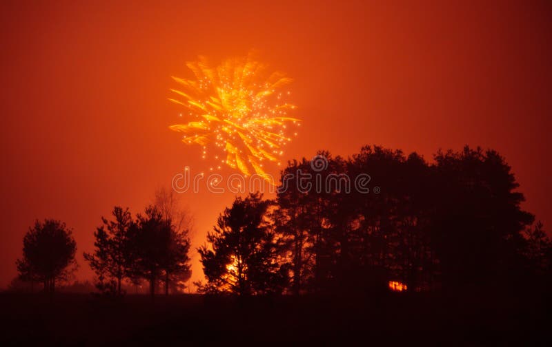 Fireworks and forest stock photo. Image of forest, party - 83390554