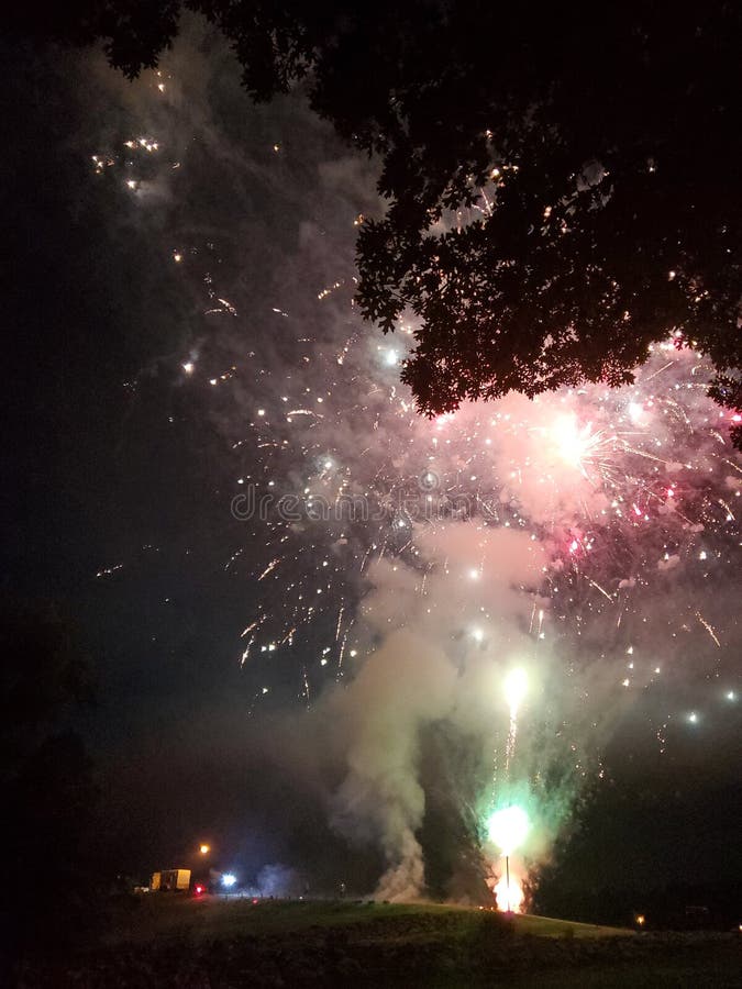 Dakota Estus (Sunflowerbeir) - Illustrations