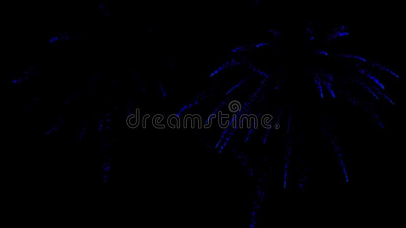 Fireworks Glitter Particles Animation Motion Graphics Stock Footage ...