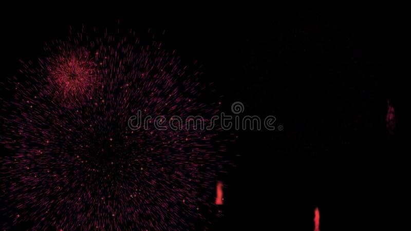 Fireworks Glitter Particles Animation Motion Graphics Stock Video ...