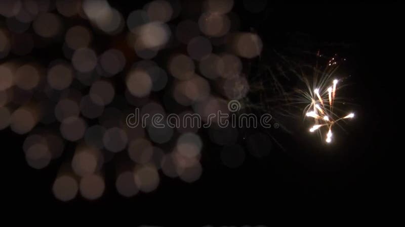 Fireworks Motion Graphics Animation Background Loop HD Stock Footage ...