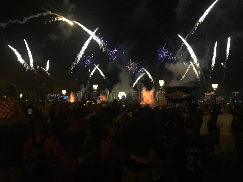 Fireworks editorial image. Image of night, light, independence - 89782505