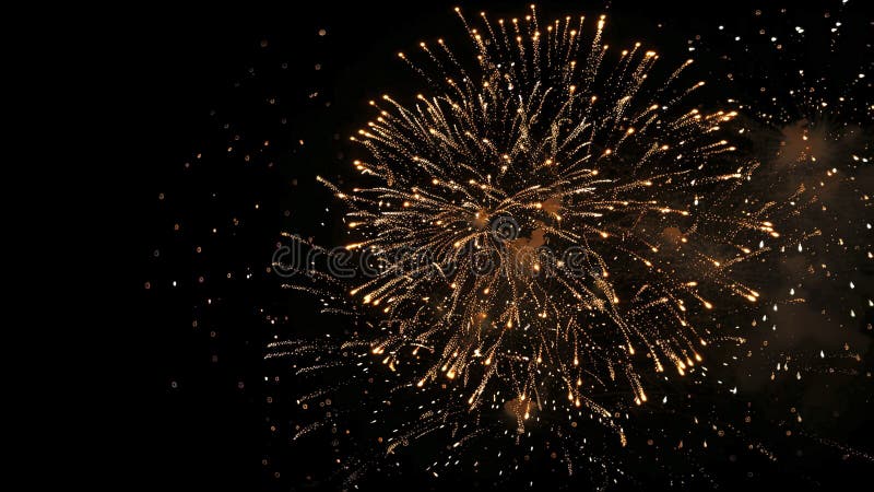 Fireworks in the Night, Fireworks Background, Colored Fireworks ...