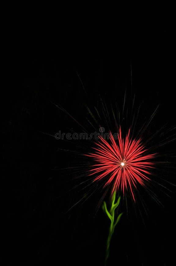 Fireworks - Red Flower stock photo. Image of darkness, show - 940786