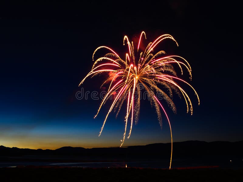 Fireworks in the Shape of a Palm Tree Stock Image - Image of bright ...