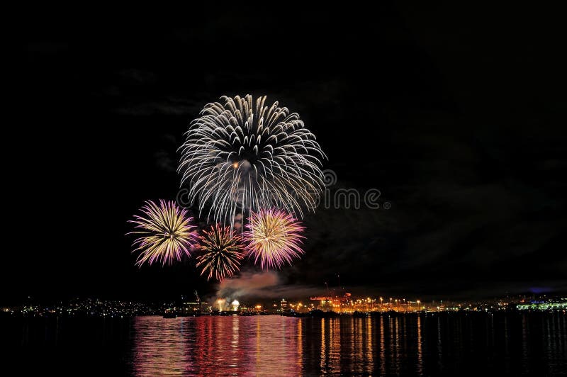 Fireworks Shaping Chrysanthemum Flowers Stock Photo - Image of light ...