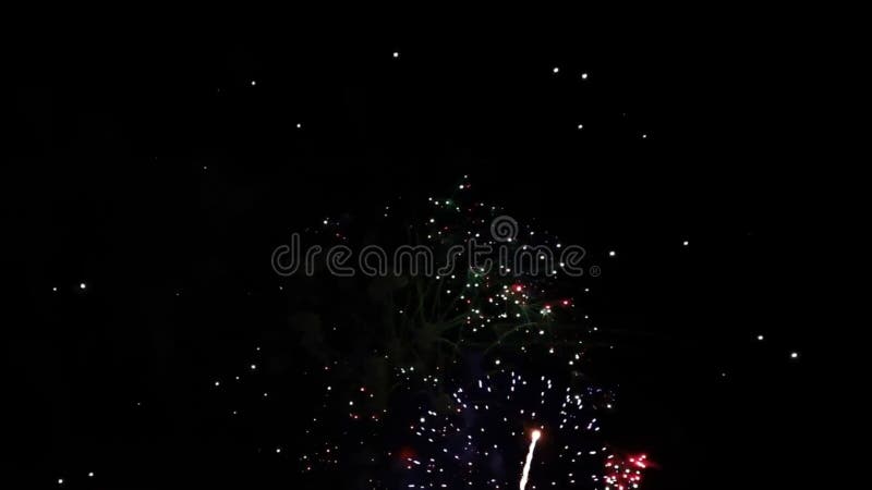 Fireworks in the Sky Stock Image Black Background Stock Illustration ...