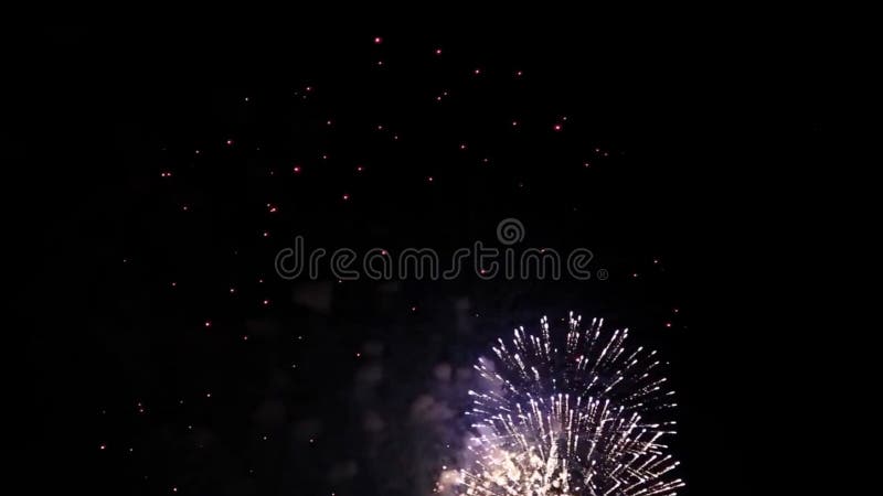 Fireworks in the Sky Stock Image Black Background Stock Illustration ...