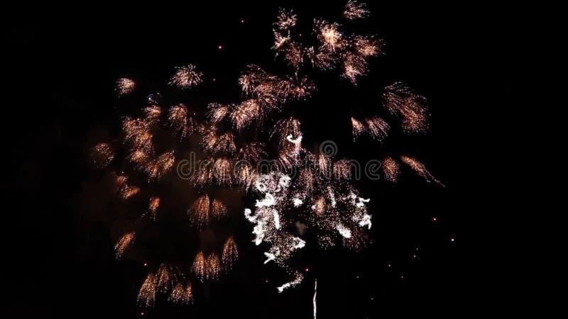 Fireworks in the Sky Stock Image Black Background Stock Illustration ...