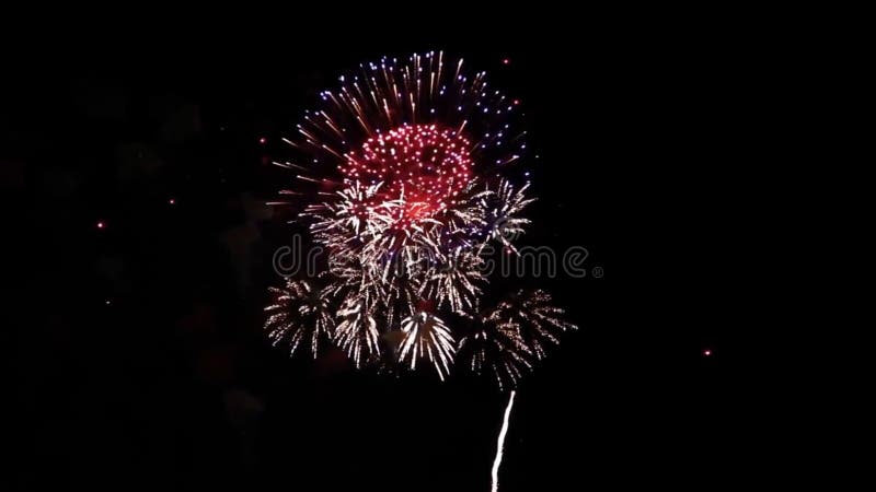 Fireworks in the Sky Stock Image Black Background Stock Photo - Image ...