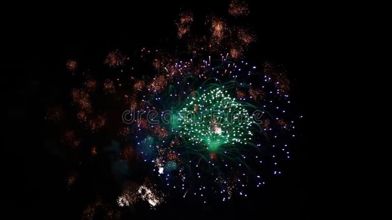 Fireworks in the Sky Stock Image Black Background Stock Illustration ...