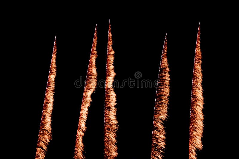 Five Firework Trails Illuminate Night Stock Image - Image of celestial ...
