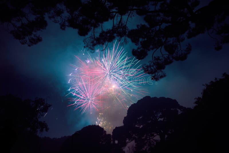 Fireworks with Tree Silhouettes Around Stock Image - Image of holidays ...