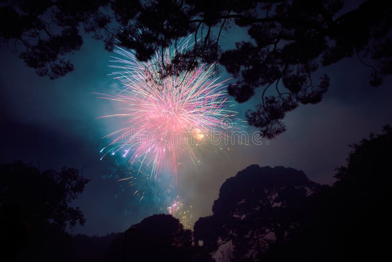 Fireworks with Tree Silhouettes Around Stock Photo - Image of poland ...
