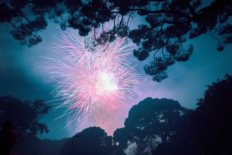 Fireworks with Tree Silhouettes Around Stock Image - Image of happy ...