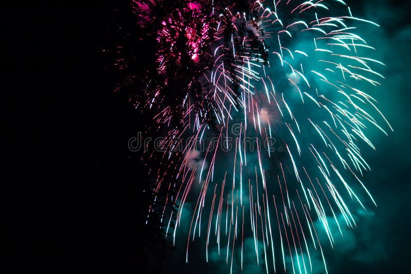 Fireworks and trees stock photo. Image of party, leaf - 57228058