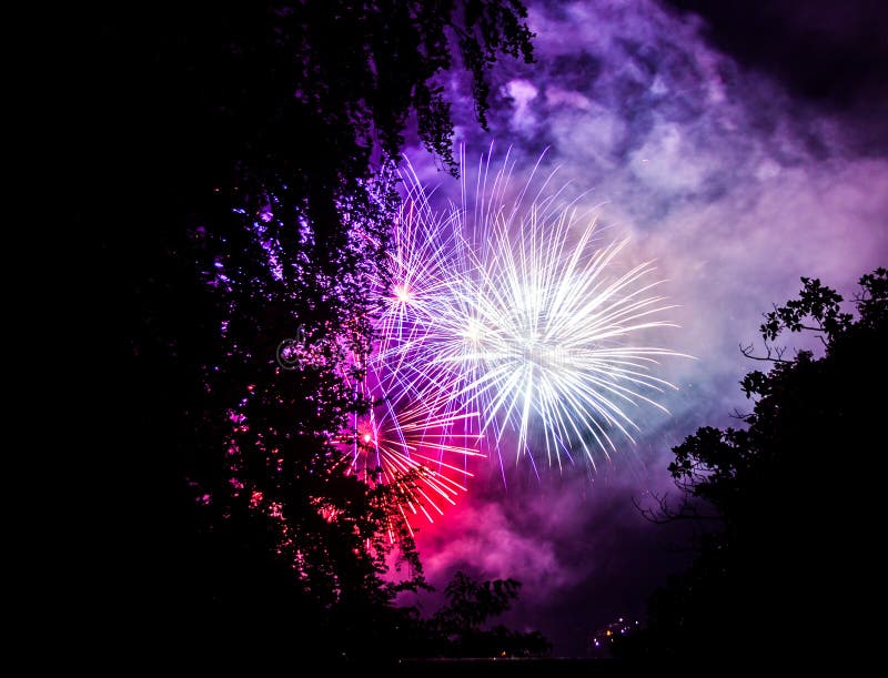 Fireworks and trees stock photo. Image of colours, night - 57228106
