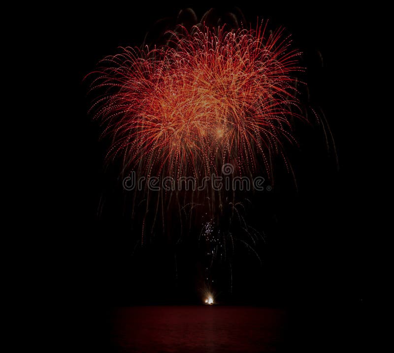 Sea Turtle on Beach stock photo. Image of endangered - 17297712