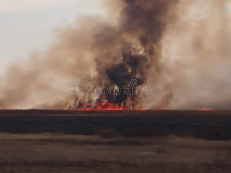 Firey field stock photo. Image of dakota, vehicle, soil - 262777492