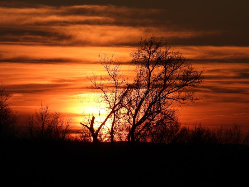 Firey Orange Sunset Behind Stark Barren Treeline Stock Photo - Image of ...
