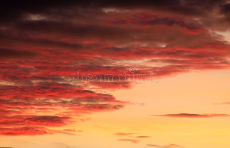 Firey Red Clouds Sunset, Golden Yellow Sky Behind Stock Image - Image ...