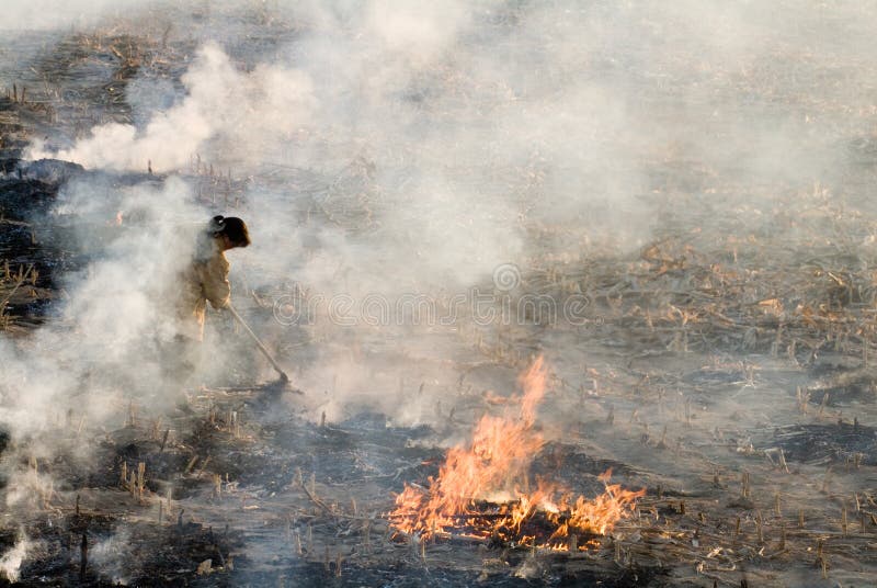 Firing in the Field stock image. Image of firing, fire - 4432857