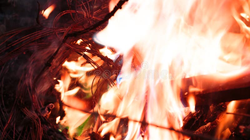 Firing wire in fire stock image. Image of dangerous, burn - 84811377