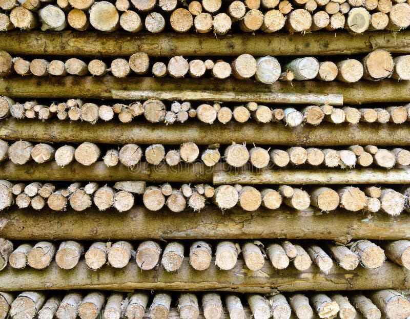 Firs logs piled up stock image. Image of logs, stack - 40203783