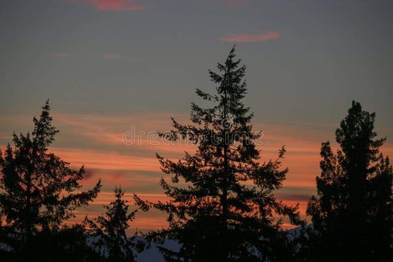 Pacific Northwest Sunset with Vibrant Blue Stock Image - Image of ...