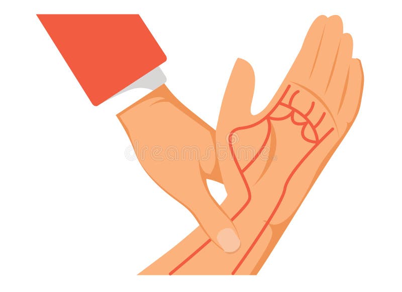Measurement of Pulse. Finger on Hand Vein, Healthcare Concept. First ... Measurement of Pulse. Finger on Hand Vein, Healthcare Concept. First ...