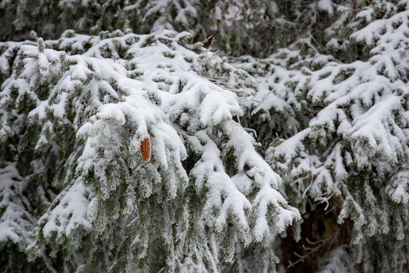 First Autumn Snowfall on the Italian Mountains Stock Photo - Image of ...