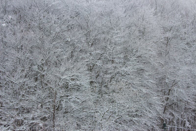 First Autumn Snowfall on the Italian Mountains Stock Image - Image of ...