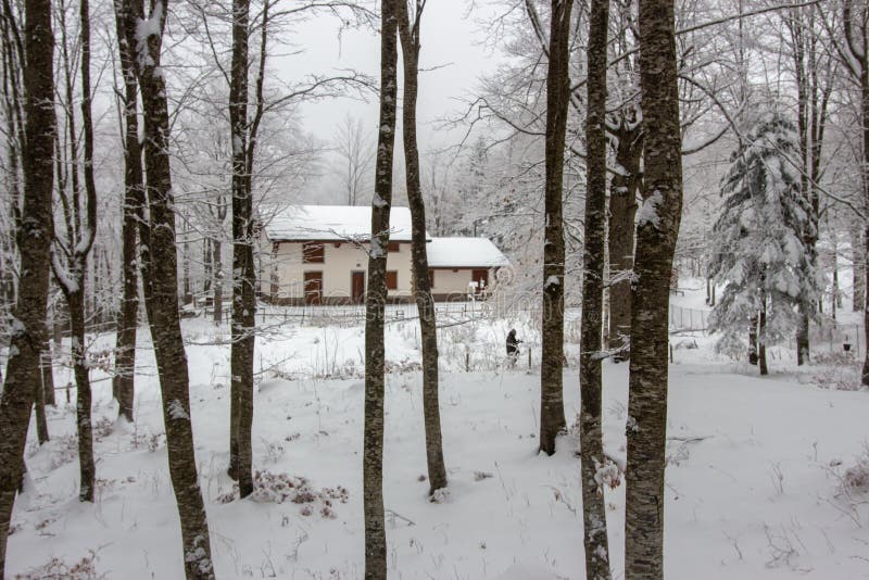 First Autumn Snowfall on the Italian Mountains Stock Image - Image of ...