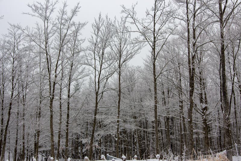 First Autumn Snowfall on the Italian Mountains Stock Photo - Image of ...