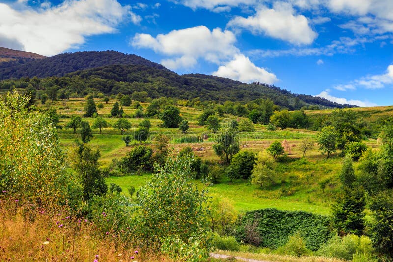 First beams in highland stock image. Image of nature - 36301125