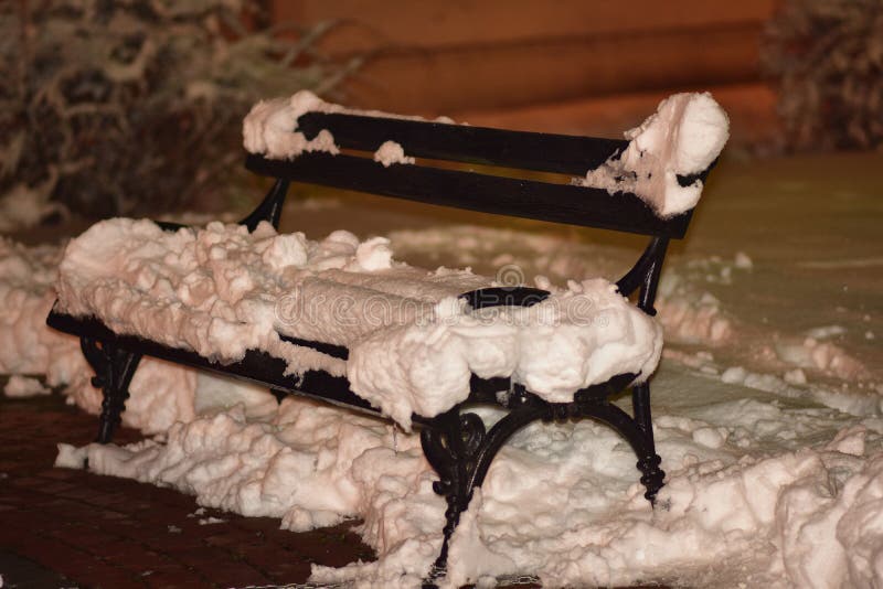 The First Big Snow at My Home Stock Image - Image of beautiful, plants ...