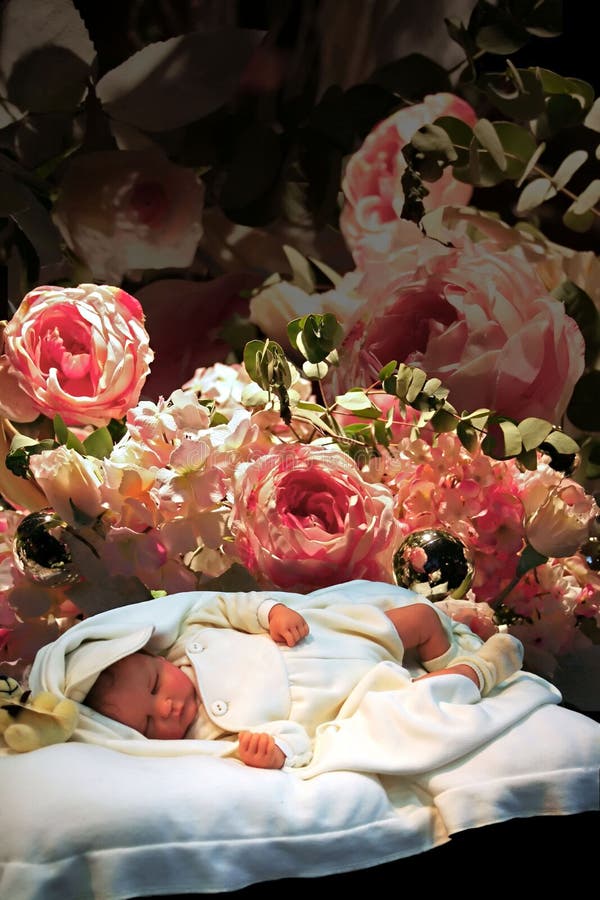 First-born stock image. Image of ling, baby, bird, born - 1800363