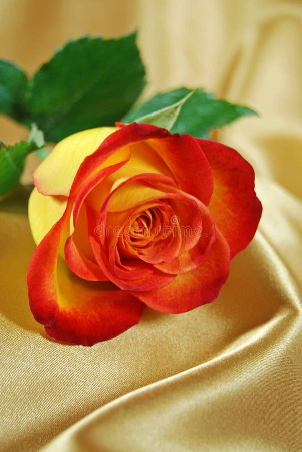 First Class stock image. Image of luxurious, material - 6004083