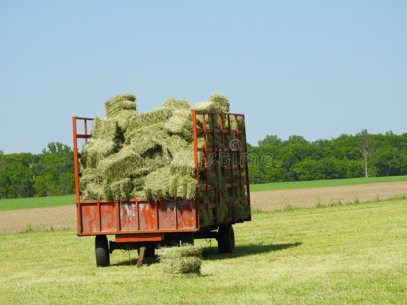 First Cutting of Springtime Hay in NYS FingerLakes Stock Photo - Image ...