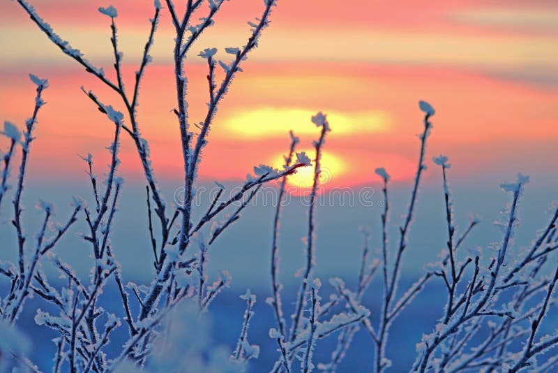 The first dawn stock image. Image of yellow, scene, sport - 63436977