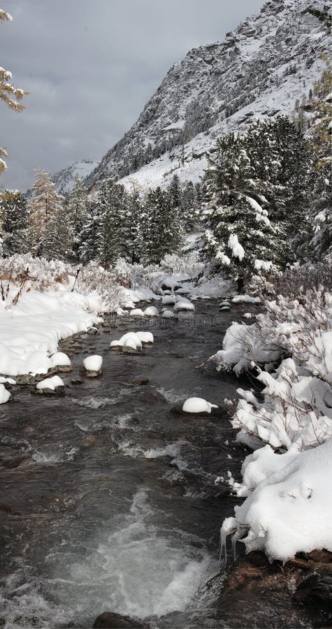 The first day of winter. stock photo. Image of winter - 9606126