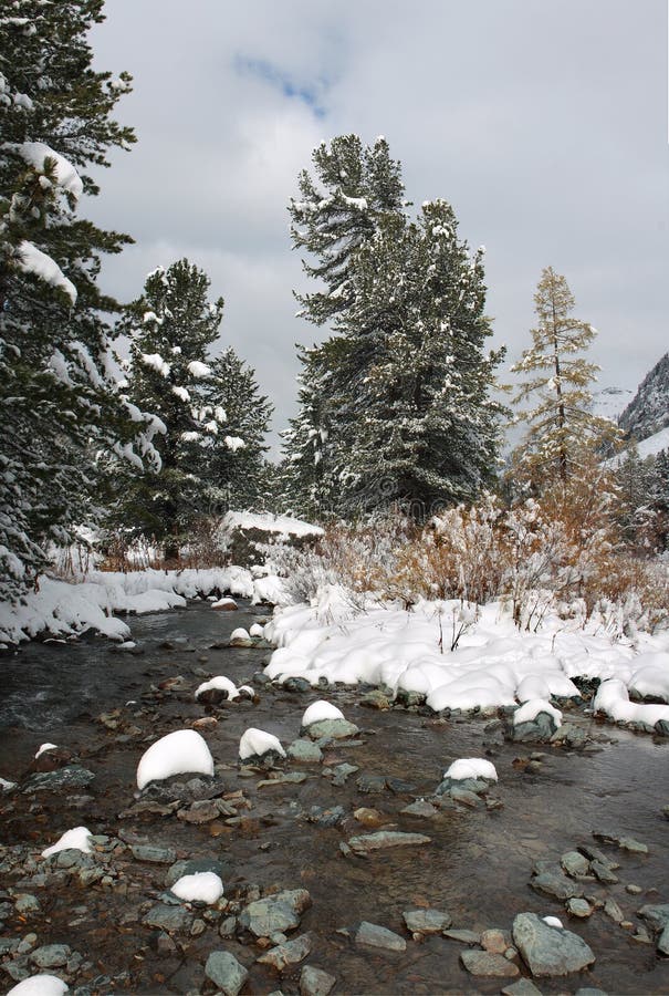 The first day of winter. stock photo. Image of fast, nature - 9606200
