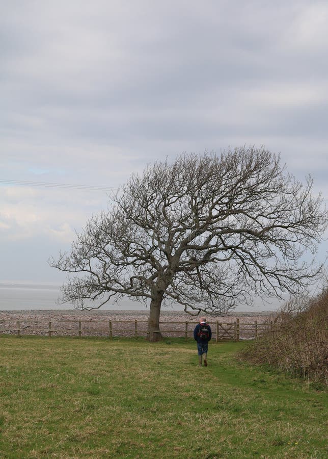 First Days of Spring. Man Walking through Field Towards the Beach Stock ...