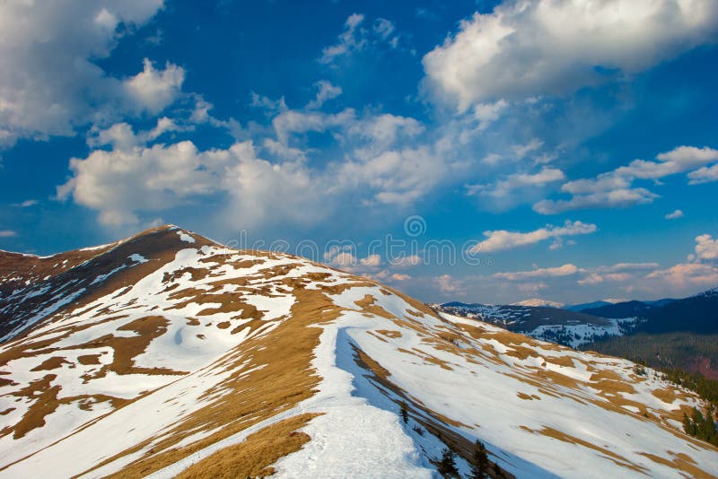 First days of spring stock photo. Image of cold, peace - 55772864