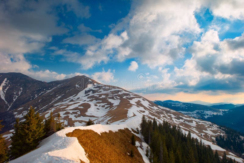 First days of spring stock image. Image of landscape - 55772905