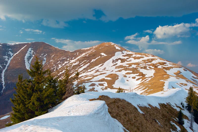 First days of spring stock photo. Image of plant, rays - 55773460