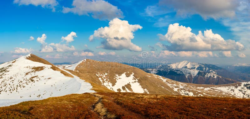 First days of spring stock image. Image of frost, cold - 55779103